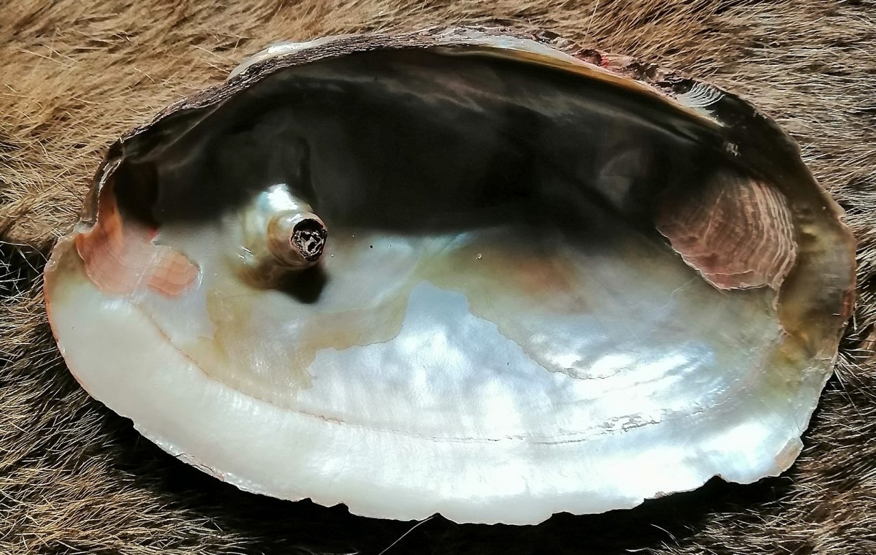 Water | Resources | Aboriginal Launceston