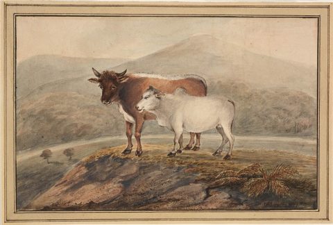 Encounters with colonists | Resources | Aboriginal Launceston